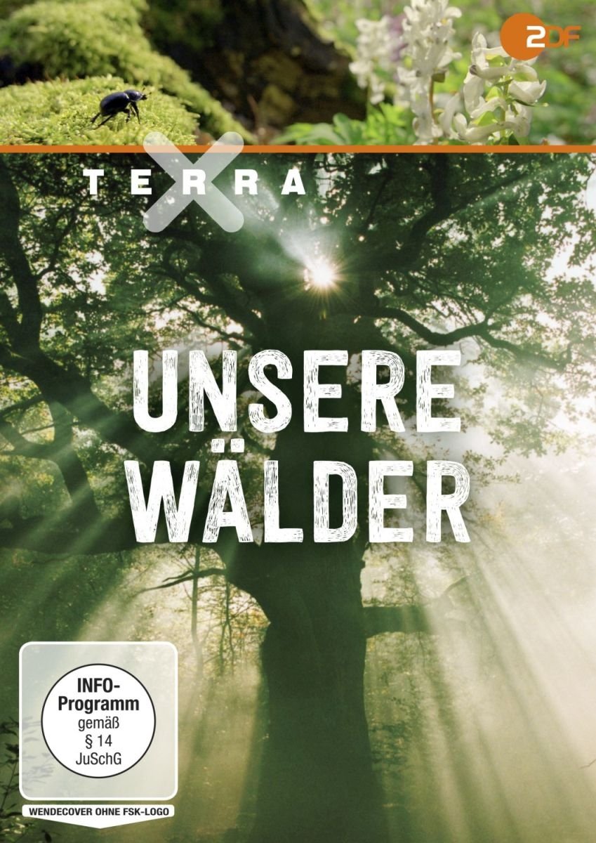 wald - Filme für die Erde Magazin